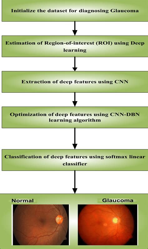 Flow Chart For Proposed Convolution Neural Network And Deep Belief Network Download Scientific