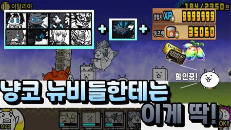 블아가 몇 마리야이 가격에 이런 스펙이 말이돼 냥코 대전쟁 Youtube