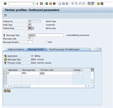 SAP IDOCs For Customer Number With Different Sales Organizations