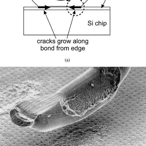 Igbt Packaging And Structures A Structure Of An Igbt Power Module
