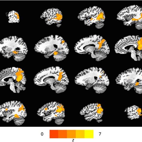 Brain Regions Involved In Memory Reinstatement Heatmap Shows Regions Download Scientific