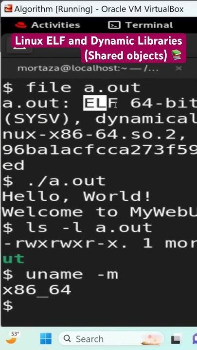 linux elf and dynamic libraries shared objects 📚 youtube