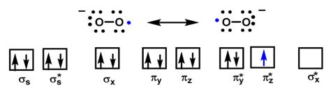 Superoxide Anion Chemistry—its Role At The Core Of The Innate Immunity