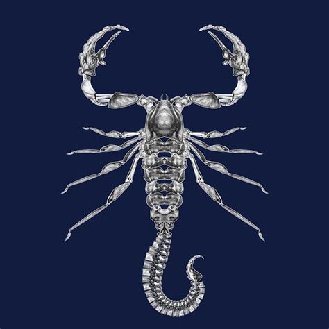 Андрей Помулев