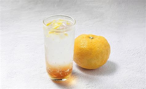 柚子氣泡飲 快速版 應用食譜 美食家食材通路股份有限公司
