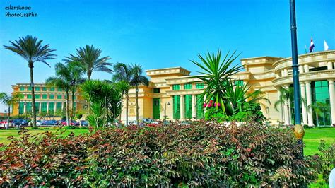 Faculty Of Management Science Msa University