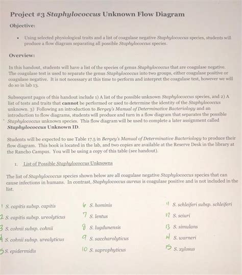 Project 3 Staphylococcus Unknown Flow Diagram