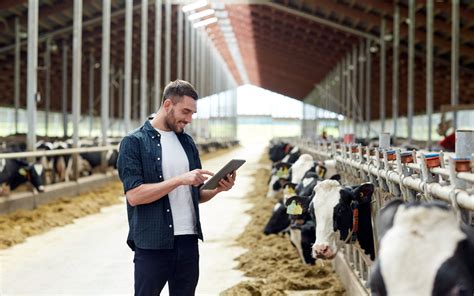 Top 7 Trends In Dairy Herd Management