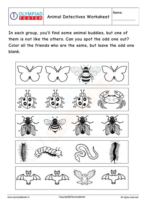 Hindi Worksheets Odd One Out
