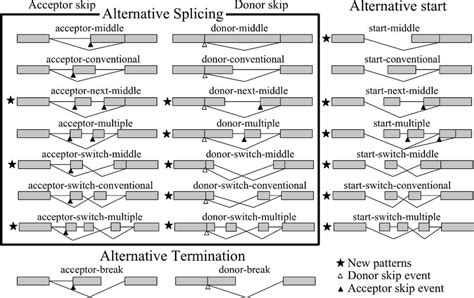 Combinatorial Classification Of Ats Units Download Scientific Diagram