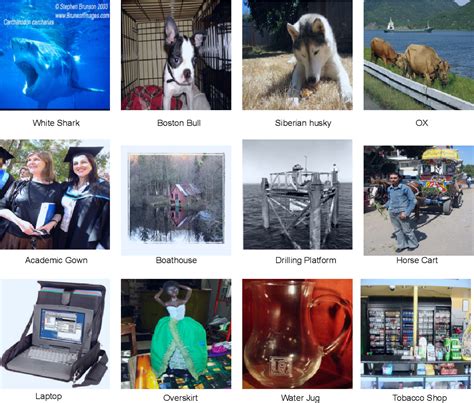 Figure 1 From Boosting Out Of Distribution Detection With Typical Features Semantic Scholar