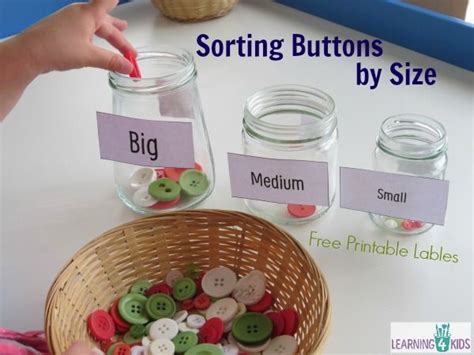 Sorting Coloured Buttons Creative Curriculum Prebabe Study Creative Creative Curriculum