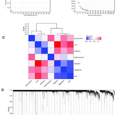 Wgcna A β 26086 B β 26178 C The Hierarchical