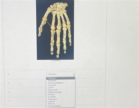 Solved 1 2 3 4 10 9 9 10 11 9 10 12 Jandj Photography