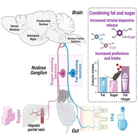 Dr Erika Tajra Posted On Linkedin