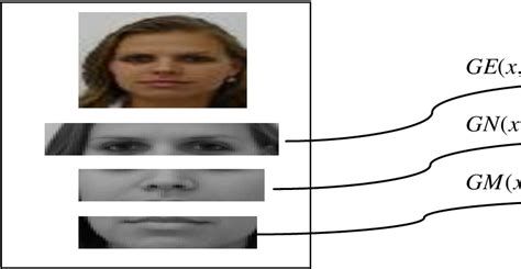 Figure 1 From A Hybrid Feature Extraction Technique For Face Recognition Semantic Scholar