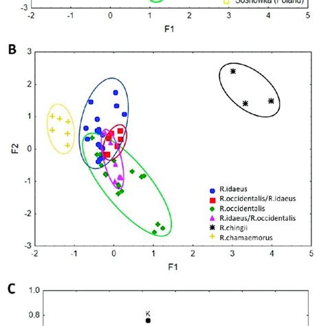 hierarchical dendrogram for all raspberry samples download