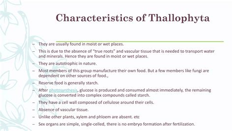 Classification Of Plants Pdf