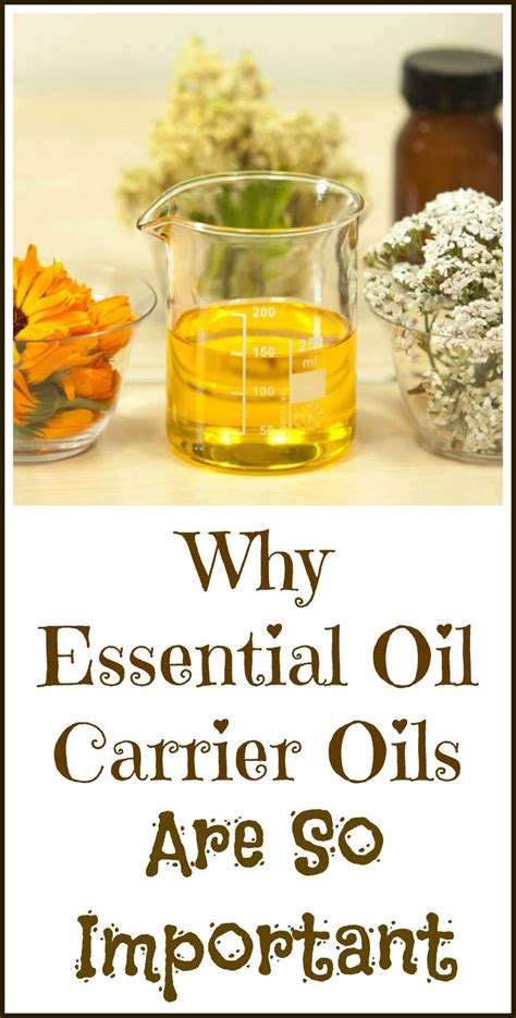 Essential Oils Vs Carrier Oils Organic Palace Queen Essential Oils