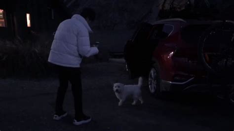 무지개 다리를 건넌 반려견과 닮은 강아지를 마주쳤을때 Feat 방탄 인스티즈 Instiz 이슈 카테고리