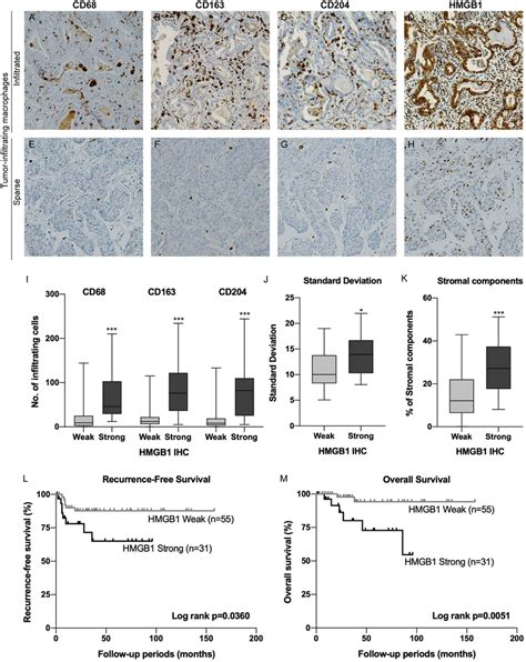 Hmgb1 Expression Was Associated With Tumor Heterogeneity And Macrophage Download Scientific