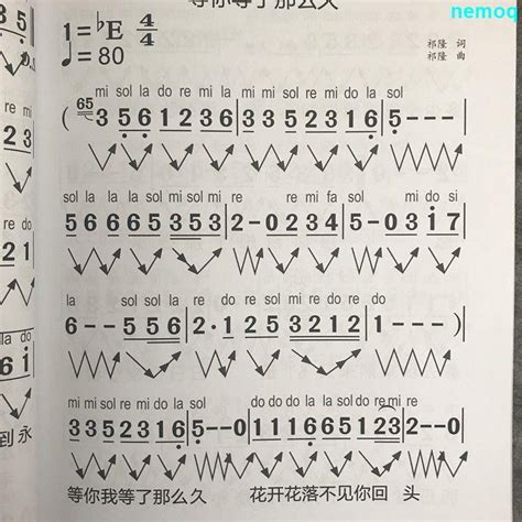 樂器書籍零基礎簡譜速成樂器通用音樂教學竹笛葫蘆絲等從零起步自學簡譜 蝦皮購物