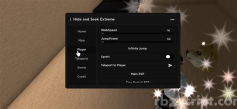 Hide And Seek Extreme Server Hop Teleports And More Scripts Rbxscript