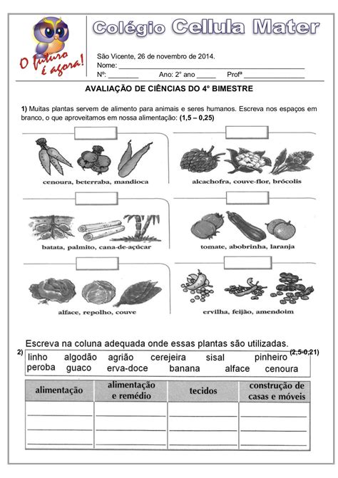 Avaliação De Ciencias 2 Ano 2 Bimestre Braincp