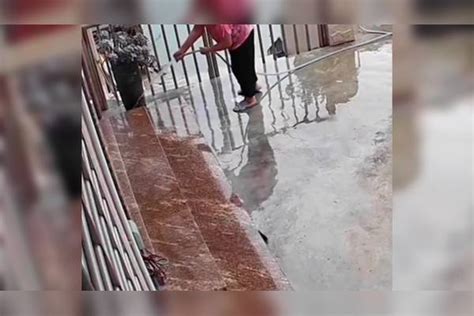 大妈院内冲水发现神奇生物游走丝滑不懂就问这是啥
