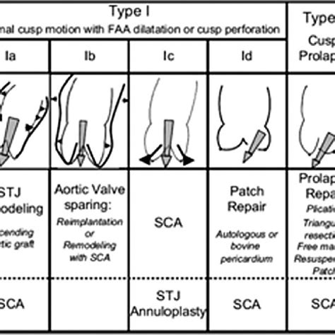E A And B The Functional Aortic Annulus Faa Download Scientific Diagram