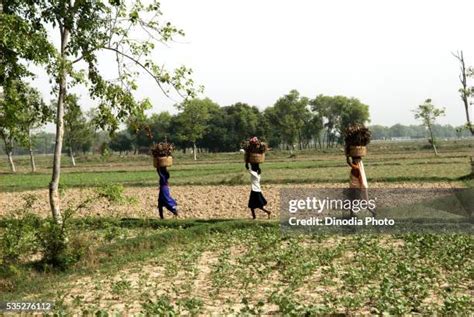 Rajauli Photos And Premium High Res Pictures Getty Images