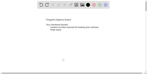 How Does The Polygastric Digestive System Aid In Digesting Roughage Numerade