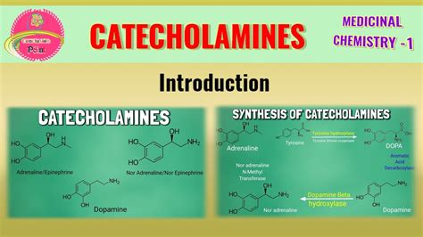 Catecholamines Synthesis Introduction Medicinal Chemistry 1 Conclusionpoint Youtube