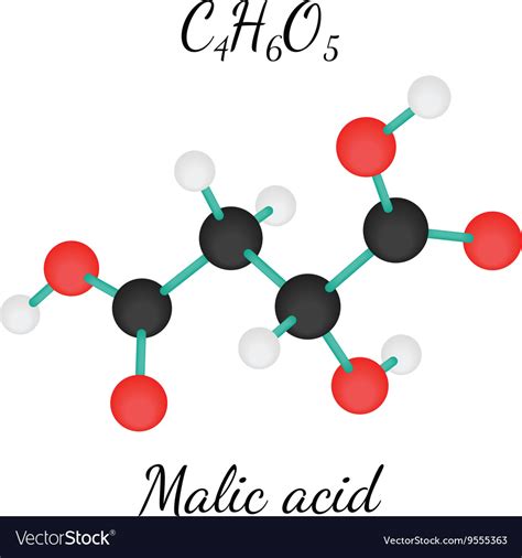 Malic Acid Structure