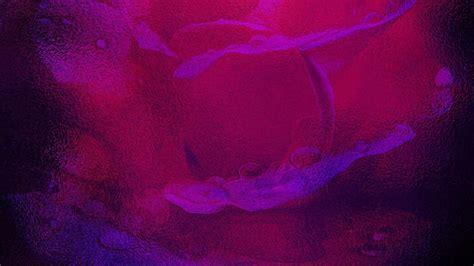 Passion Wallpapers Top Free Passion Backgrounds Wallpaperaccess