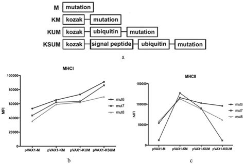 Method For Screening Neoantigen Or Neoantigen Coding Sequence Eureka