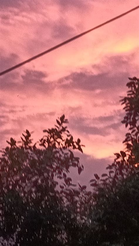 Pink Sunset Sky