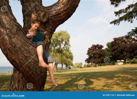 Reading In A Tree Stock Image Image Of Sunlight Jeans 3357153