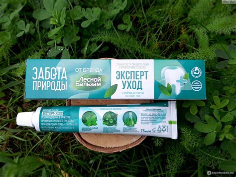 Зубная паста Лесной бальзам "Эксперт уход Забота природы ...