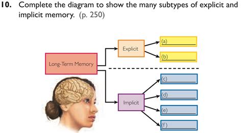 Diagram Of Psyc Memory Quizlet