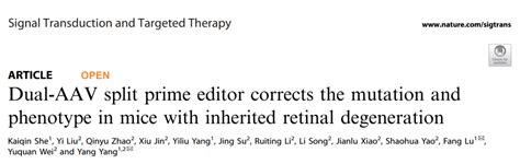 基因先导编辑有望治疗遗传性失明 健识药师谈 疾病 研究 视网膜