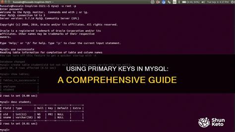 Using Primary Keys In Mysql A Comprehensive Guide Shunketo
