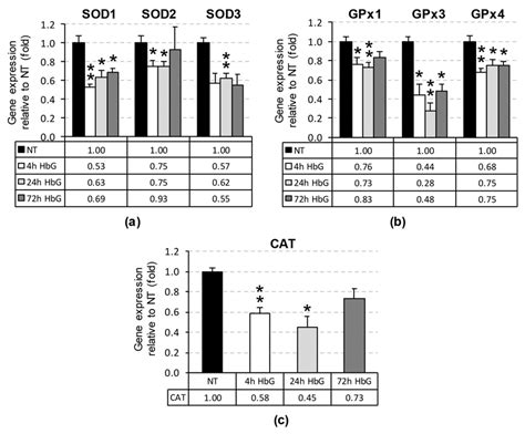 Renal Antioxidant Gene Mrna Levels Following Infusion With Hbg The