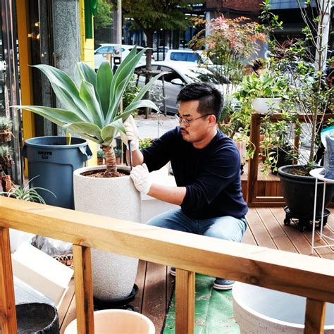 화분 수거 후 식재 싱고