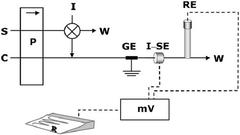 Schematic Diagram Of The Flow Injection System P Peristaltic Pump S Download Scientific