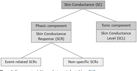 Figure 1 From Detecting Emotions Through Electrodermal Activity In