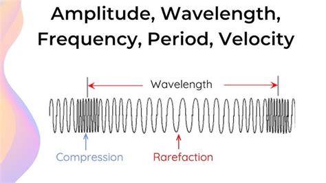 Longitudinal Wave Examples Transverse And Longitudinal Waves Definition