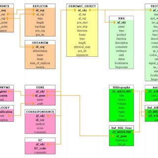 Data Schema Of The Databases The Core Object Of The Schema Is The Download Scientific Diagram