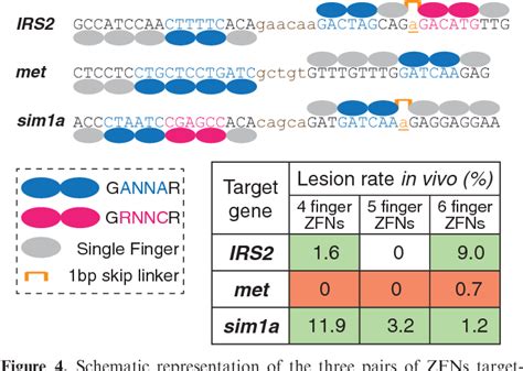 Figure 4 From Program In Gene Function And Expression Publications And Presentations Program In