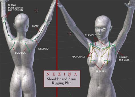 The Nezi A Project Nudity Finished Projects Blender Artists Community